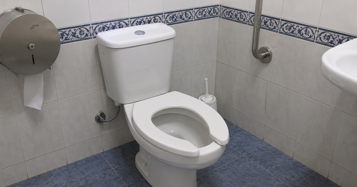 Por qué hay baños que tienen los inodoros con esta forma de herradura ...