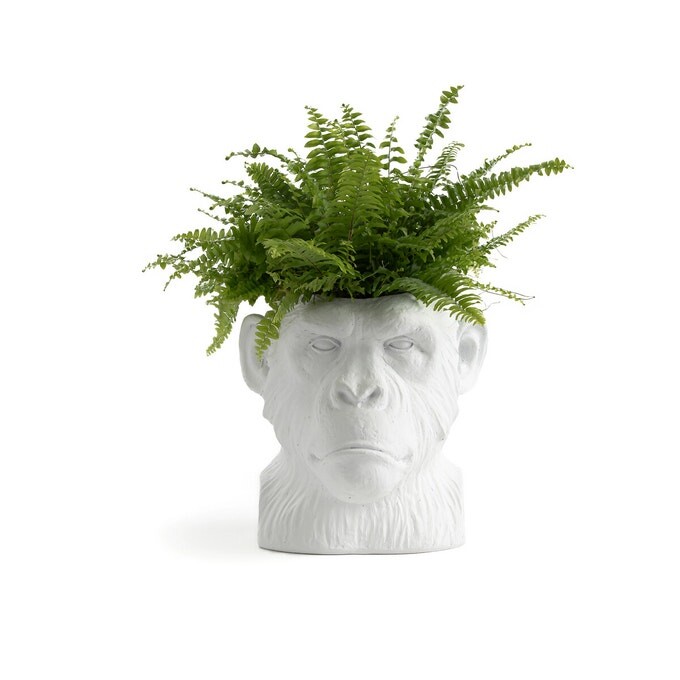 Los 24 maceteros más trendy para llenar tu casa de plantas (y de diseño)