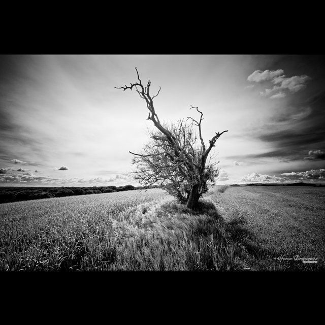 Fotografías de alto contraste para inspirarte