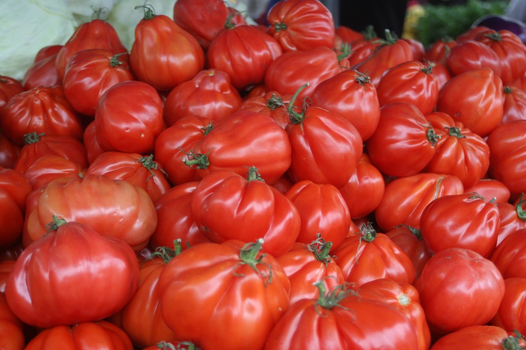 Tomate. Propiedades, beneficios y recetas