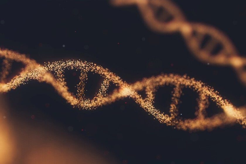 Aún no tenemos claro lo que hace el 98% de nuestro ADN, pero sabemos que nuestro "ADN basura" es ...