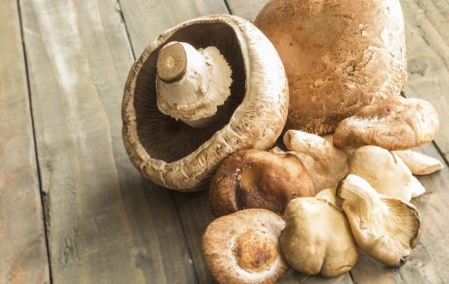 Cinco datos sobre las setas, alimentos de temporada que no puedes ...