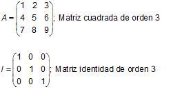 Definición y algunos tipos de matrices