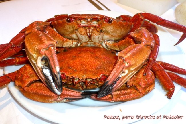 Modo fácil de limpiar las nécoras