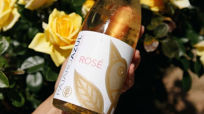 Pocos los conocen, pero estos son los vinos de Guanajuato que debes ...
