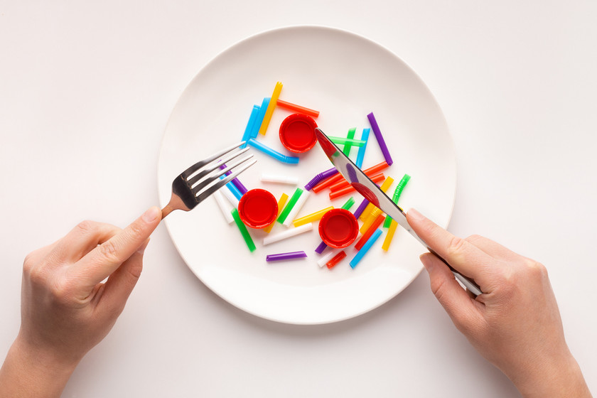 Todo sobre los microplásticos: qué son, dónde se encuentran y cómo ...