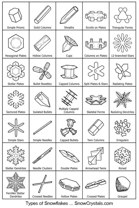 ¿Cómo sabemos que todos los copos de nieve son diferentes si no podemos ...