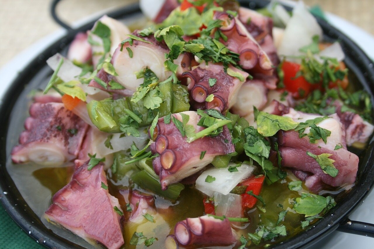 Todo sobre el pulpo: propiedades, temporada y cómo cocinar este molusco ...