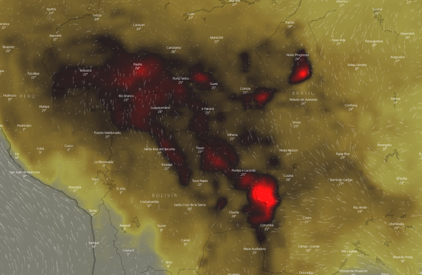 El impacto medioambiental de los incendios del Amazonas, explicado en ...