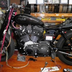 Mule Stealth, una Sportster al mas puro estilo flat track