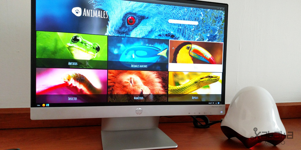 Endless Computer, análisis