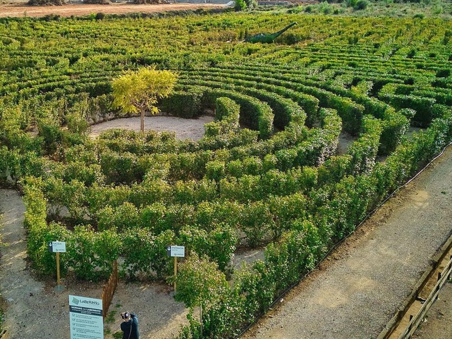 El laberinto más grande de España que esconde uno de los pueblos más ...