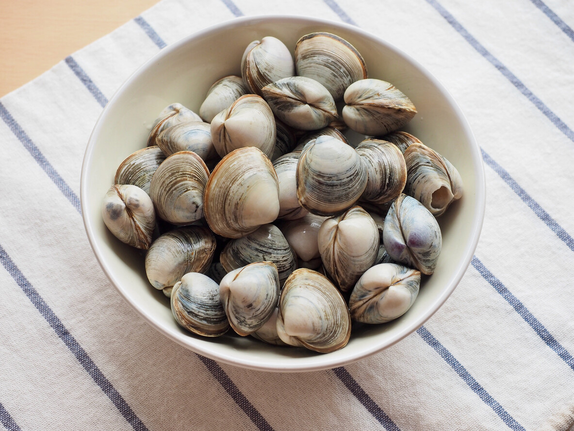 Almejas de temporada, un marisco versátil y sabroso: qué son, cómo ...
