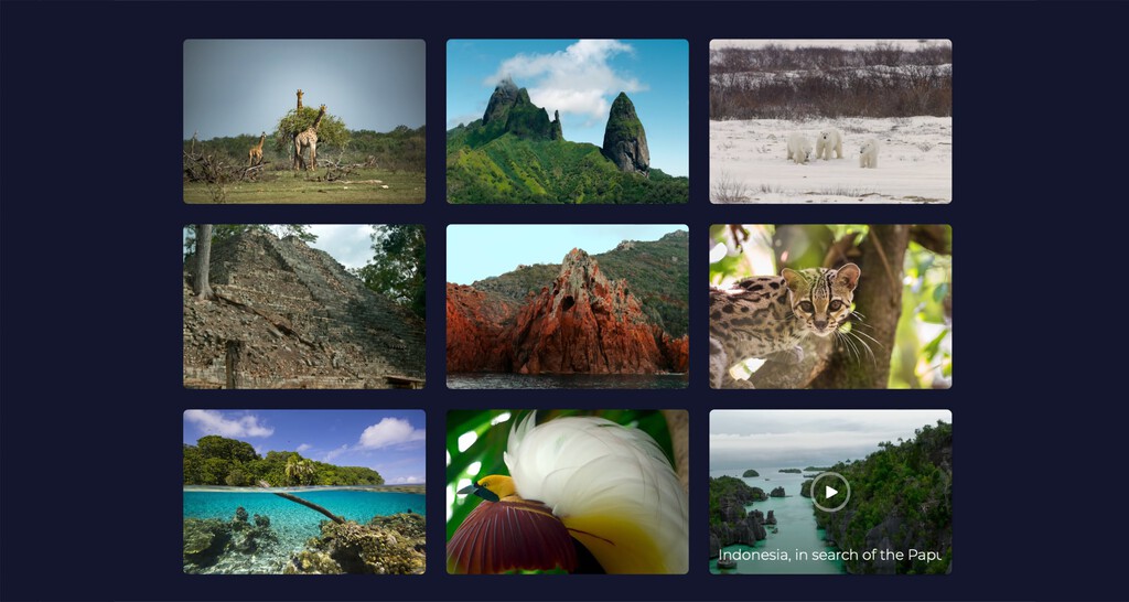 Las teles Philips lanzadas a partir de 2019 podrán usar salvapantallas ...