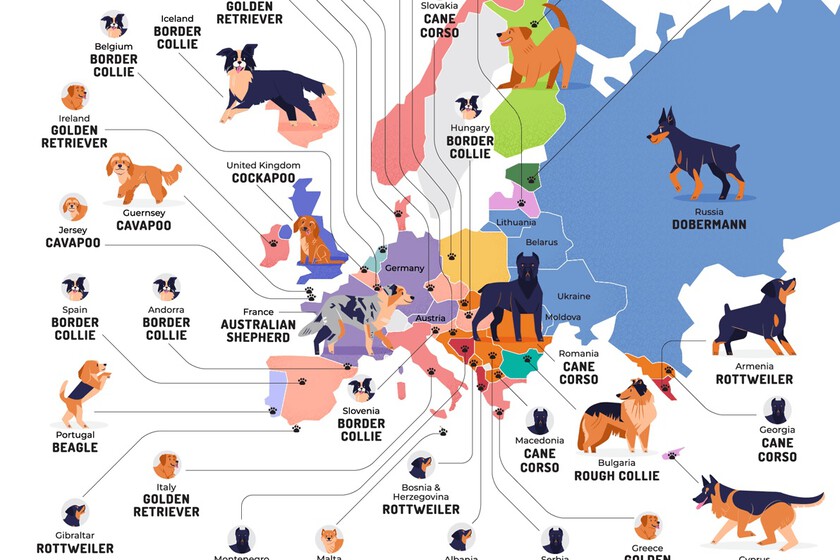 Las razas de perro más queridas en cada país del mundo, reunidas en un ...