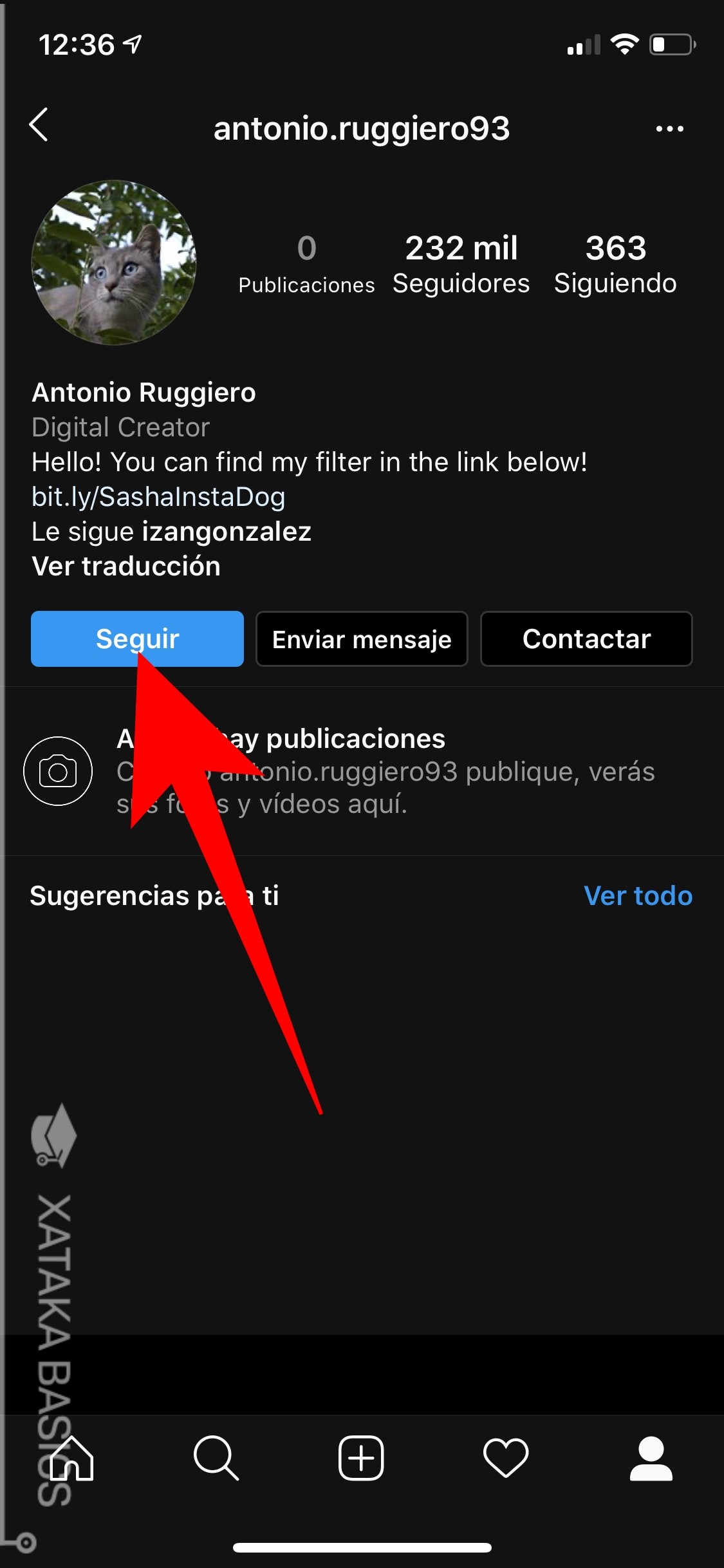 Cómo descargar Sasha Dog, el "filtro del perro" viral de Instagram que ...