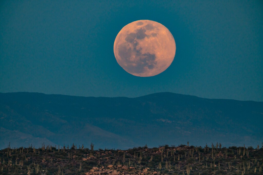 Pink Moon, Explained: How to Watch and Why the Color Has Nothing to Do ...