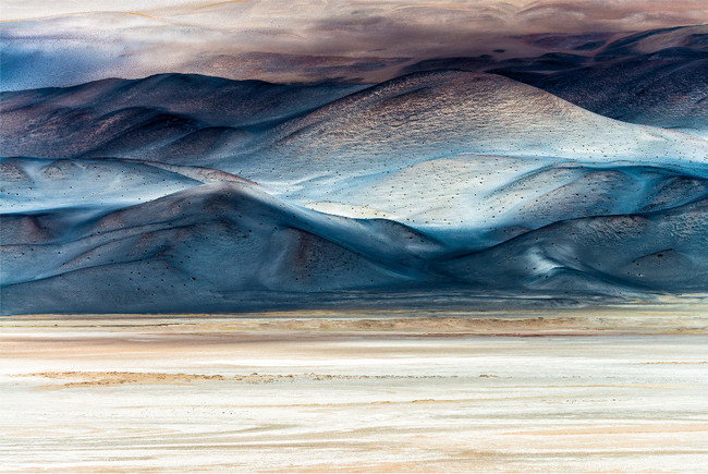 Ganadores BigPicture: Natural World Photography 2019 concurso ...