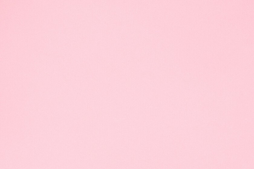 Tres cosas que para tu perro son un auténtico manjar pero asquerosas ...