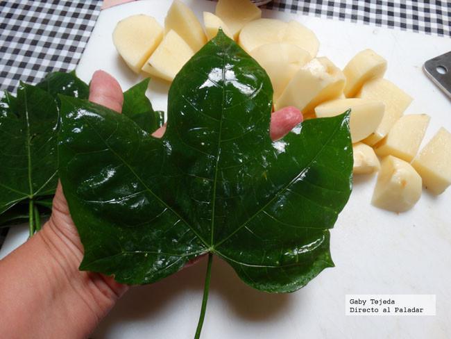 La chaya. Conoce, cultiva, consume.