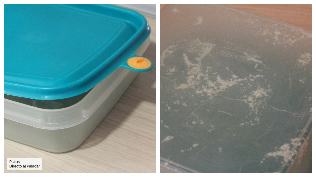 ¿Usas los tápers adecuados para llevar la comida al trabajo?