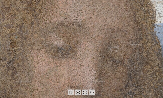 Haz todo el zoom que quieras sobre cientos de obras de arte con ...