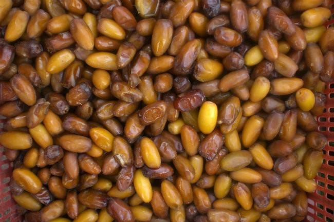 ¿Conoces las diferentes variedades de dátiles?