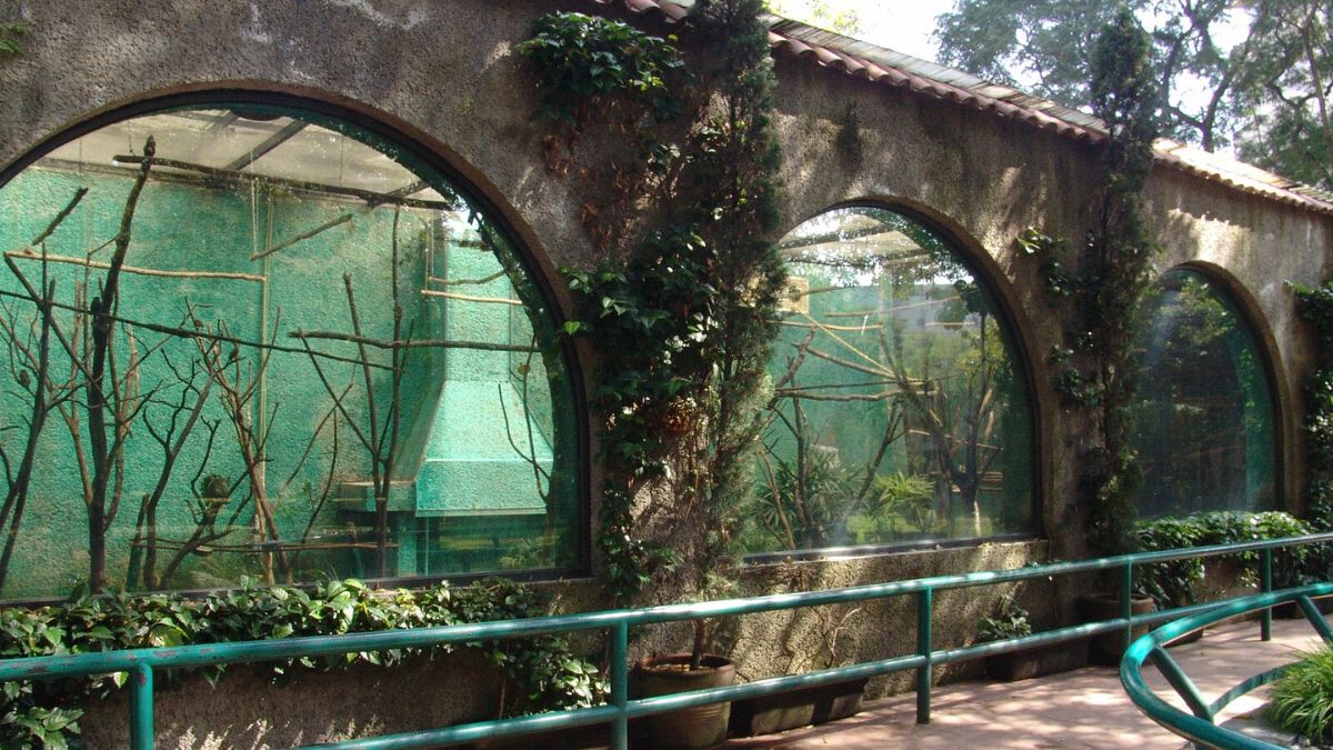 Qué hacer en el Parque El Batán, al sur de la CDMX: hay areneros ...