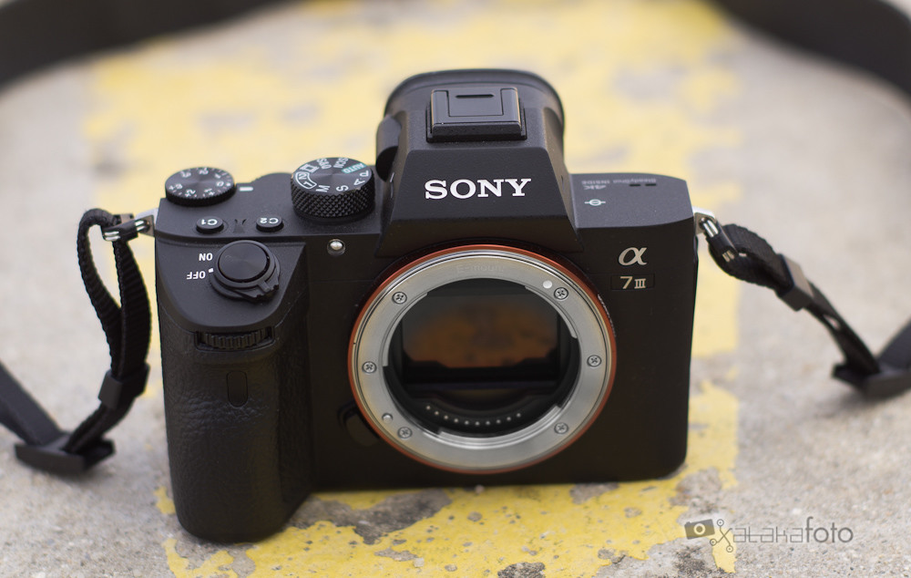 Sony A7 III, análisis: review con características, precio y ...