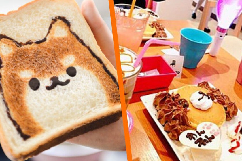 ¿Qué es y por qué gusta tanto la comida kawaii? y cómo hacerla ...