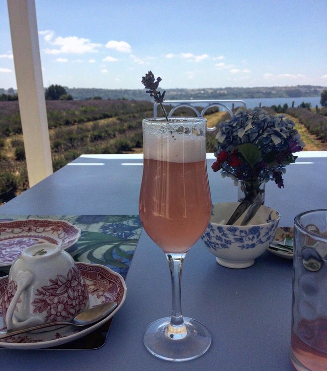 Cinco recetas de bebidas con lavanda para sorprender a todos tus sentidos