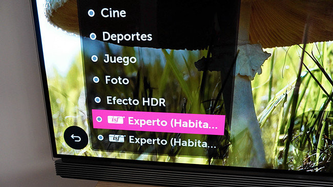 LG E6 OLED, análisis. Review con características, precio y especificaciones.