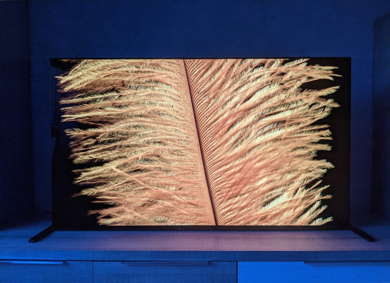 Sony A90J Bravia XR, análisis: review con características, precio y ...