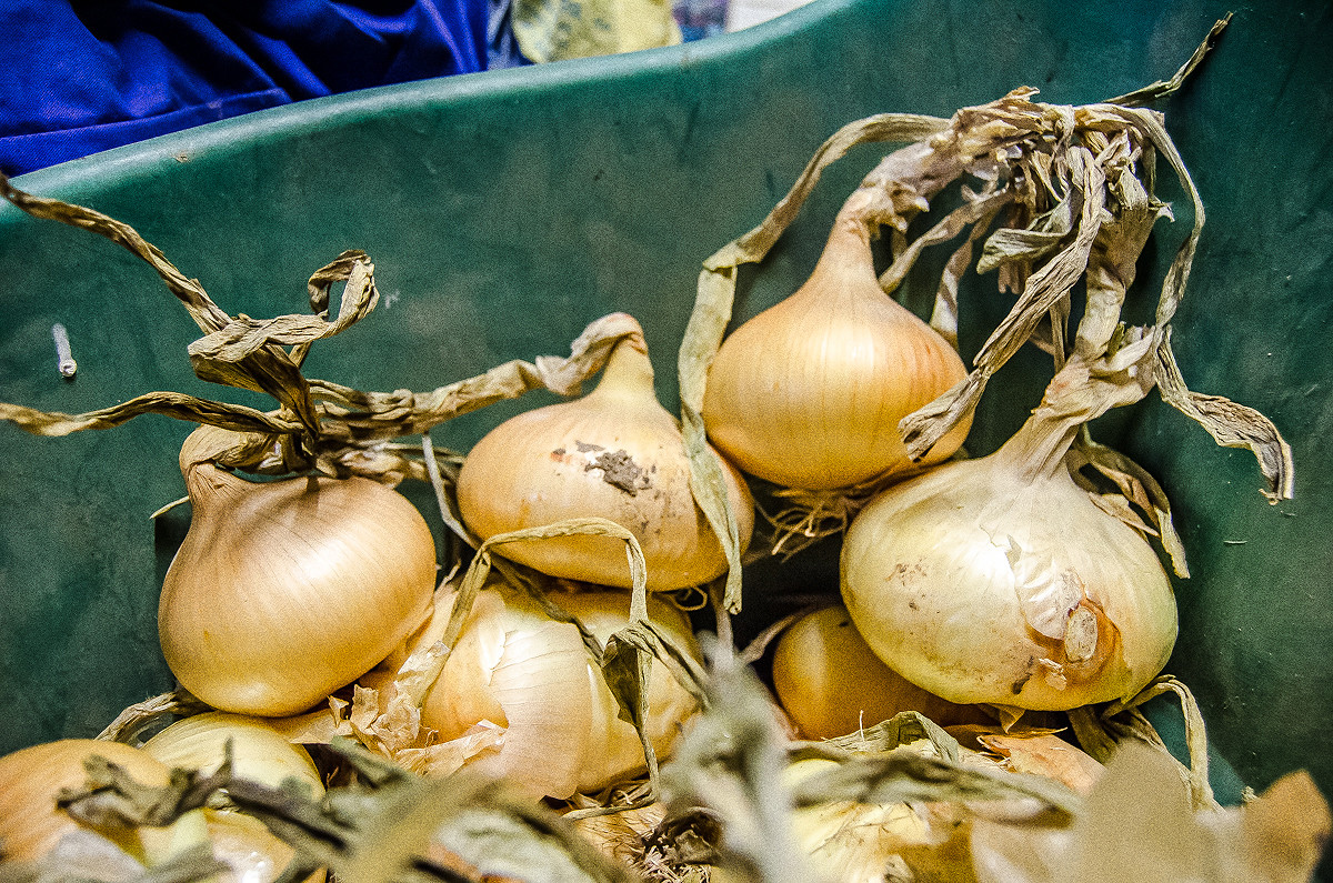 ¿Cómo es la auténtica morcilla de Burgos? La nueva IGP salda una lucha ...