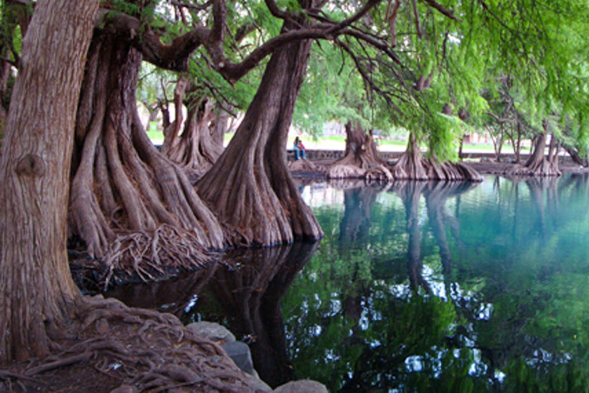Lago de Camécuaro, un paraíso escondido en Michoacán con agua ...