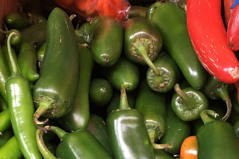 Los chiles secos más usados en la cocina mexicana